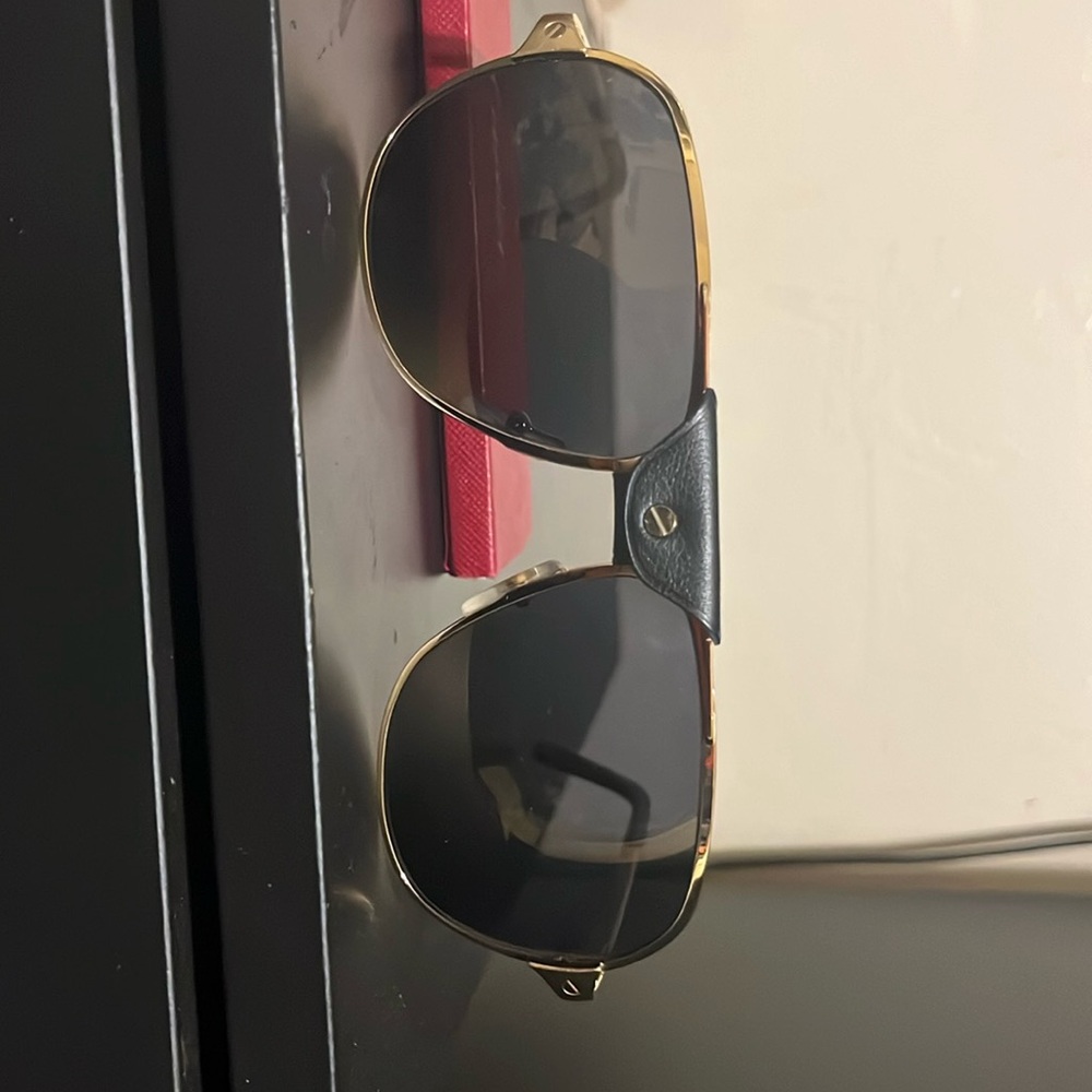 Cartier Santos De Cartier Ct0165s Sunglasses - Gem